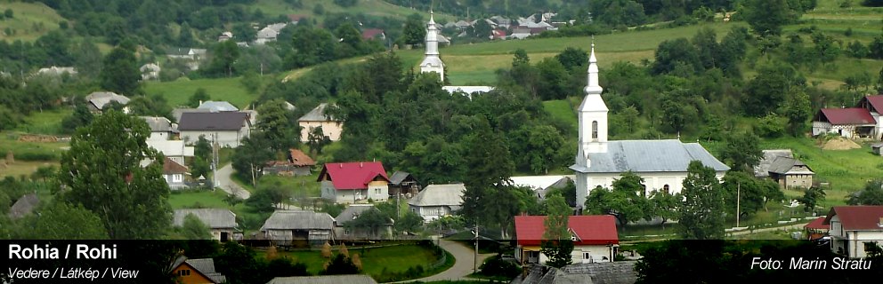 Casa Anca, Copalnic-Manastur (DN18b Baia Mare - Caseiu)